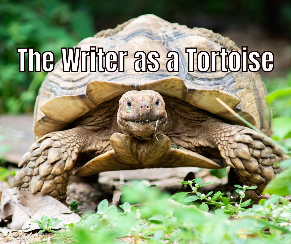 The Writer as a Tortoise. – Wild Ink Publishing