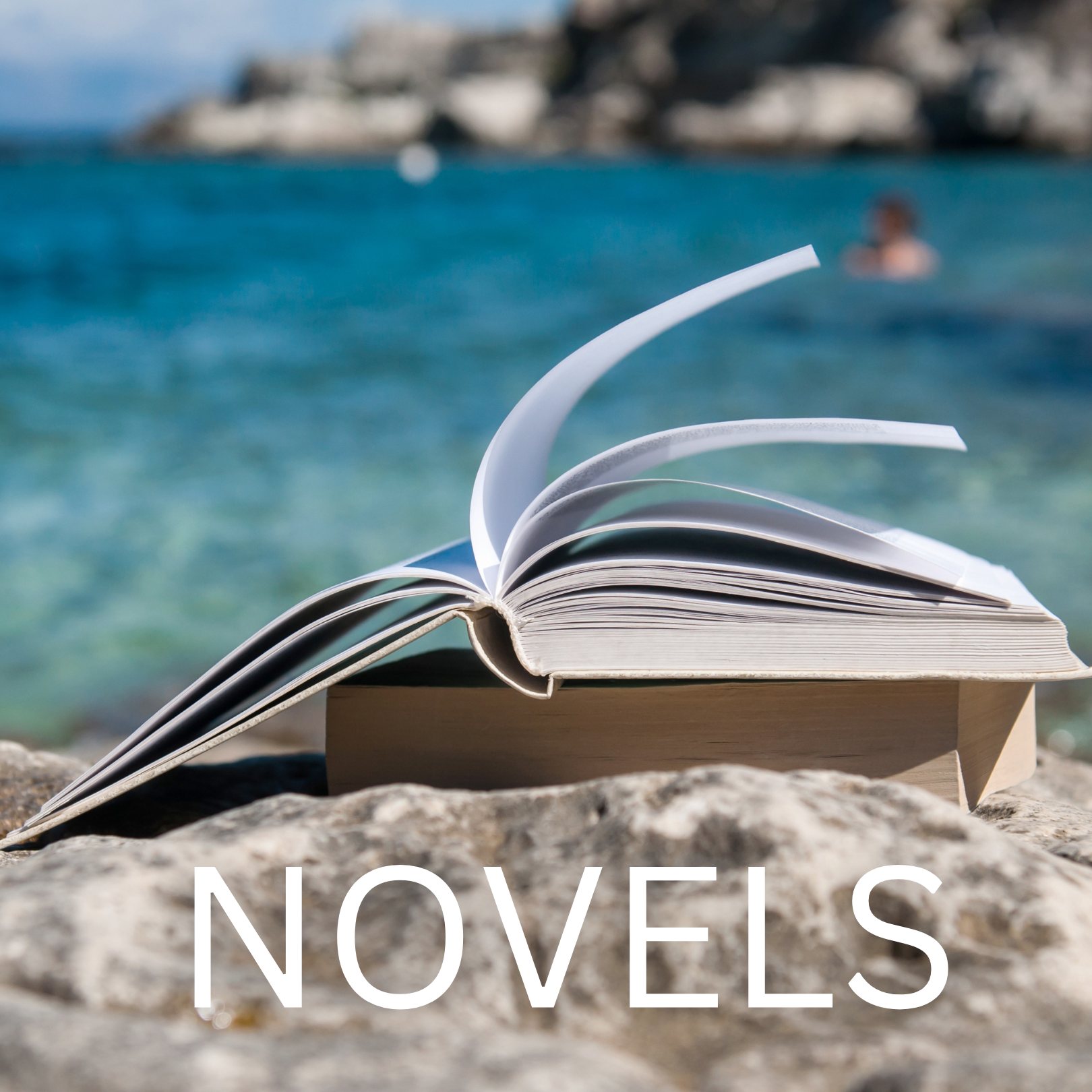 Books – Wild Ink Publishing